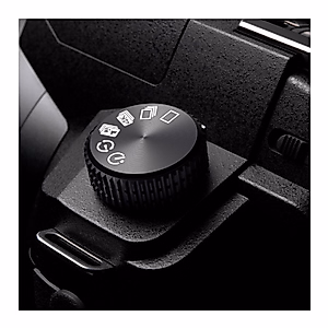 Panasonic DC-FZ1000M2 LUMIX FZ1000 II 20.1MP Digital Camera, 16x 25-400mm LEICA DC Lens, 4K Video, O.I.S. and 3.0-inch Display Point and Shoot Camera (Certified Refurbished) (Renewed)