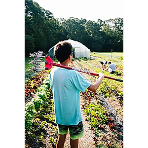 Garden Weasel Cultivator and Hand Tiller 90206 - Garden Tiller with Detachable Tines - Manual Hand Ground Tiller - Weather and Rust Resistant - Carbon Steel