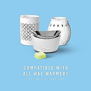 Febreze Wax Melts, Wax Melt Warmer Cubes, Wax Warmer Cubes, Pack of 6, 3 Gain Original Scent and 3 Downy April Fresh Scent, 6 Wax Melt Cubes per Pack, Air Freshener