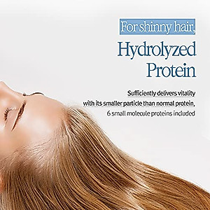 Bouquet Garni Hair Shampoo Variation (16.9 Fl.Oz, Rose Garden)