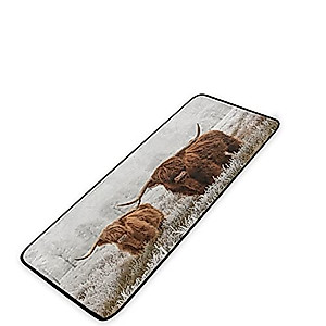 Area Rug Scottish Highland Cow Non-Slip Washable Home Western Decor Indoor Bathroom Kitchen Long Floor Door Mats Festival Party dormate39x20inch