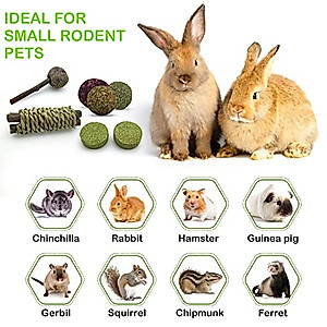 Rabbit Toys Guinea Pig Toys Bunny Toys 23PCS, Rabbit Chew Toys for Teeth Care, Natural No Strong Smell Timothy Hay Sticks Chew Treats and Balls for Bunny, Rabbit, Guinea Pig, Chinchilla, Hamster