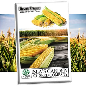 Honey Select Yellow Sweet Corn Seeds for Planting, 50+ Heirloom Seeds Per Packet, (Isla's Garden Seeds), Non GMO Seeds, Botanical Name: Zea Mays, Great Home Garden Gift