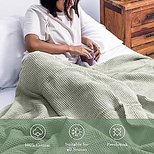 Salt Earth GOTS Certified 100% Organic Cotton Throw Blanket, 55" X 60" Waffle Blankets & Throws for Bed, Throw Blanket for Couch, Modern & Cozy Blanket, All Season, Comfy & Soft Blankets (Sea Foam)