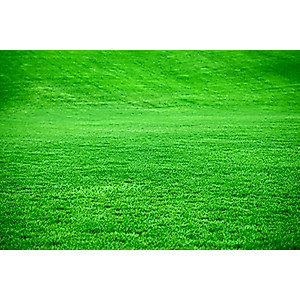 Terre Products, Single Mulching Lawn Mower Blade, 21 Inch Deck, Compatible with MTD, Cub Cadet, TroyBilt, Replacement for 742-04100, 742-0741, 742-0741A, 942-0741, 942-0741A, 1995 and After