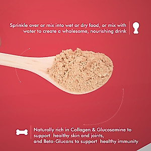 King Lou Pets - Bone Broth Booster Holistic Defense - Beef Bone Broth Topper - Beef Bone Broth and Turkey Tail Mushroom - Bone Broth for Holistic Immune Defense - Bone Broth for Dogs and Cats