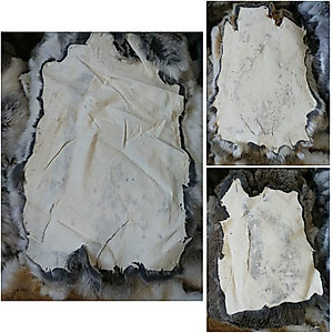 Assorted Natural Rabbit Skin Fur Pelts Grade Craft with Sewing Quality Leather 10" by 14" with Sewing Quality Leather for Decoration, Cat/Dog Toys, Sewing, or Crafting Fur Hide (5PCS Bulk)