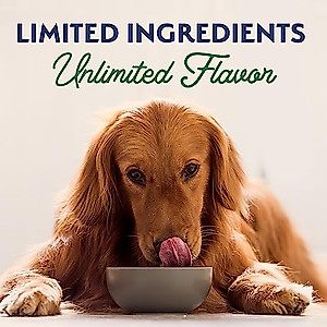 Natural Balance Limited Ingredient Adult Wet Canned Dog Food with Healthy Grains, Lamb & Brown Rice Recipe, 13 Ounce (Pack of 12)
