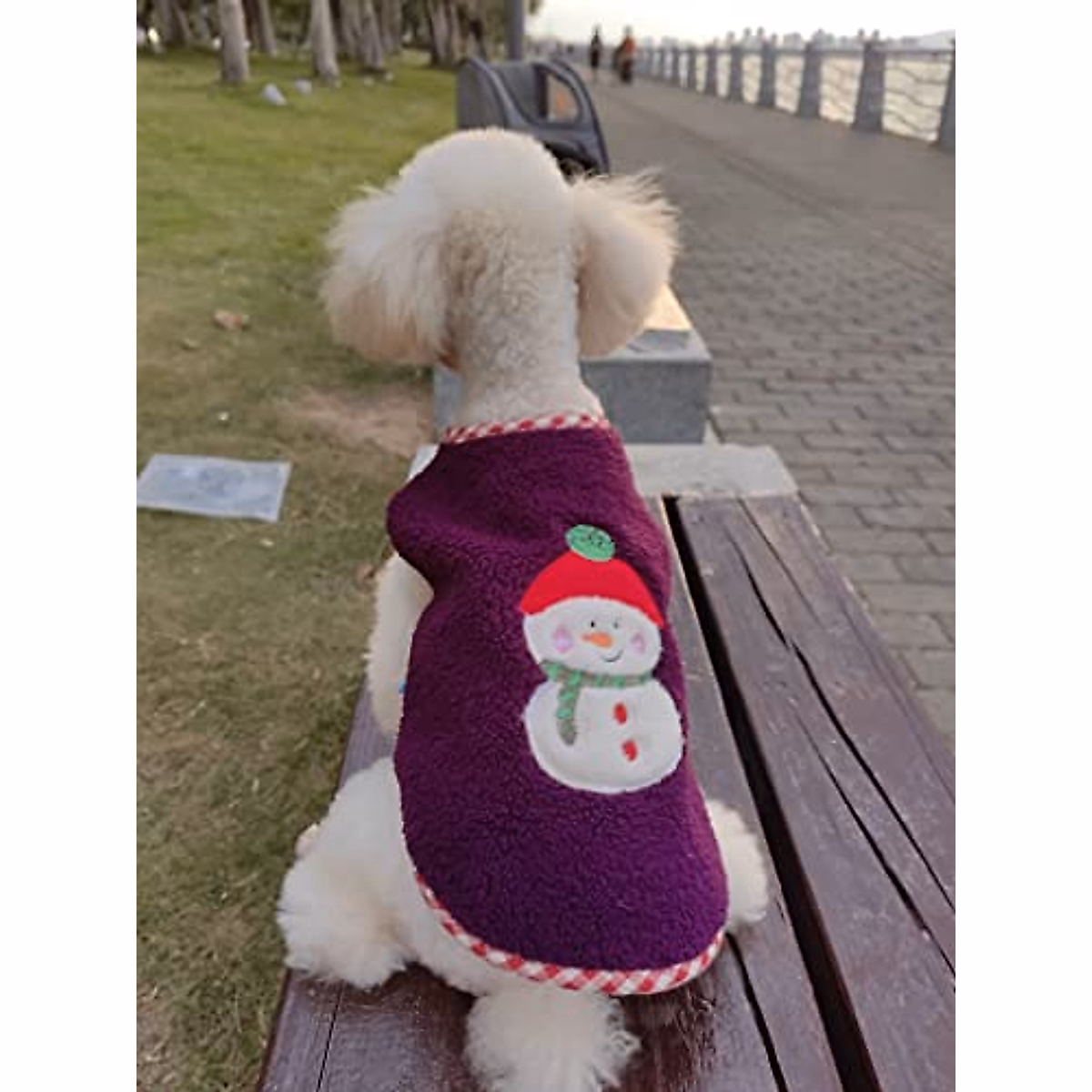 YiQ RiC Christmas Dog Clothes Dog Christmas Jacket Dog Cold Weather Coats Pet Shirts Breathable Puppy Vest Printed Christmas Snowman Reindeer Santa Claus Dog Shirts for Soft Outfit Dogs and Catst
