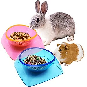 Hamster Food Bowl Plastic Guinea Pig Water Dish Prevent Knocking Over and Food Splashing Small Animal Feeding Bowl Double Use Container for Hamster Gerbil Chinchilla Ferret Hedgehog