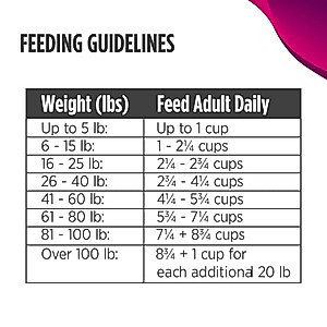 Nulo Freestyle Freeze-Dried Raw, Ultra-Rich Grain-Free Dry Dog Food for All Breeds and Life Stages with BC30 Probiotic for Digestive and Immune Health