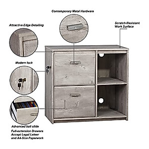 Saint Birch Elma 2-Drawer Modern Wood File Cabinet in Washed Gray