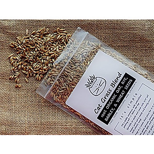 Crafted-Brand Simple Cat Grass Blend | 100% US Organic + 4 Popular Seeds | Wheat, Barley, Oats, and Rye Seed Mix Combo | Show Your Love with a Healthy Pet Treat and Snack (6 Ounce (~4800 Seeds))