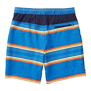 Speedo Mens Hydro Volley Swim Shorts (Speedo Blue Stripe, Large 34/36)