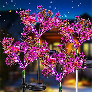 Neporal Solar Lights Outdoor Garden Decorative, 4 Pack Solar Powered Phalaenopsis Flower Lights Design, Solar Light Outdoor Waterproof IP65, Solar Garden Decorations - Gardening Gifts for Women
