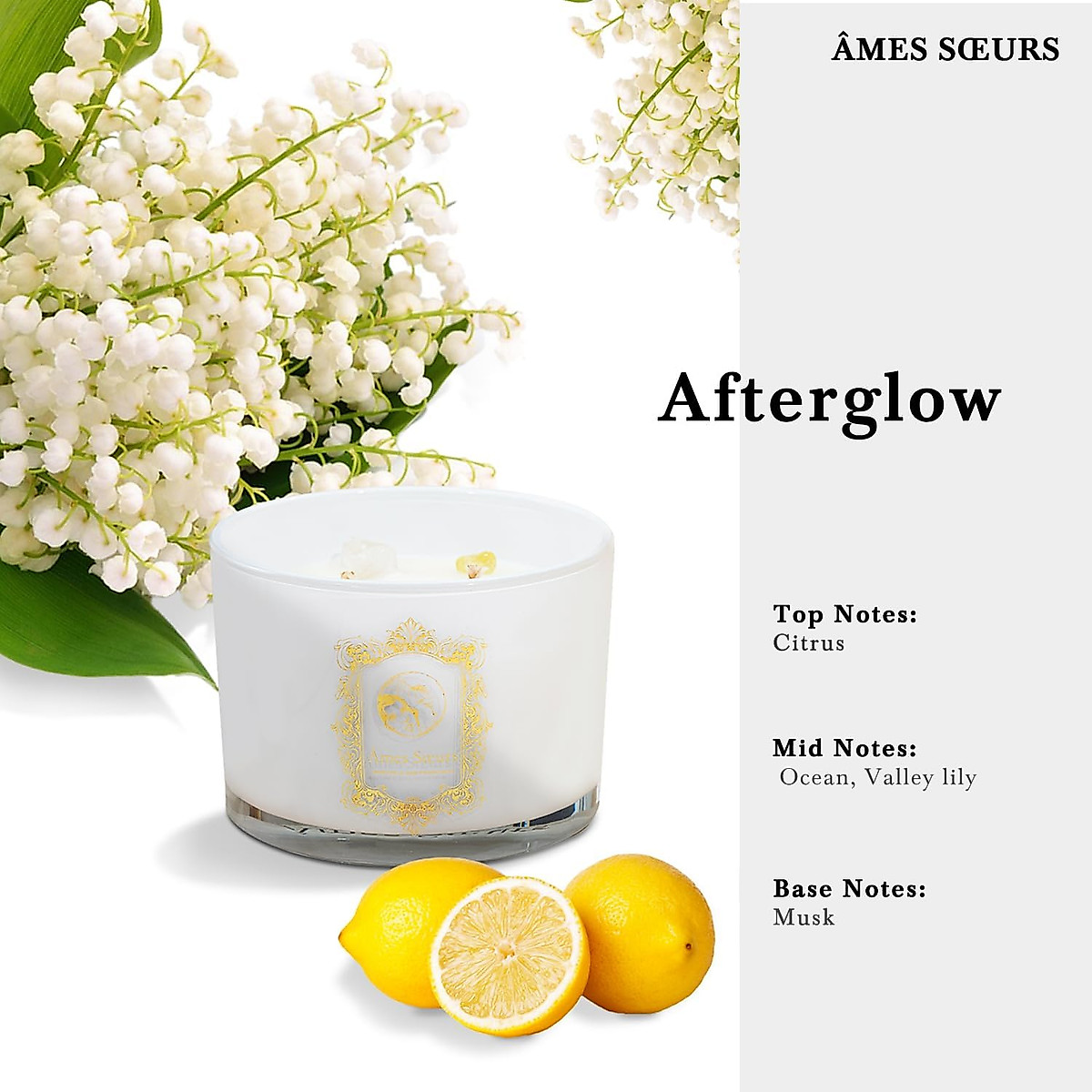 Healing Crystal Candles, Chakra Candles, 12oz Non Toxic Candles for Home, Spiritual Astrology Gifts for Women Mom. Organic Self Love Manifestation Candle with Natural Soy and Essential Oil