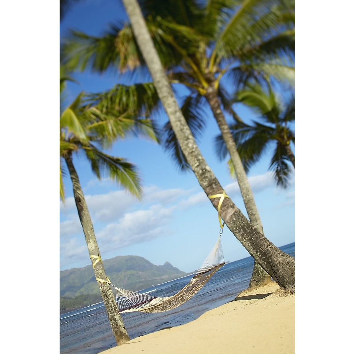 Posterazzi USA Hawaii Islands Kauai Hammock tied between palm trees on sandy beach Hanalei Bay Princeville Poster Print, (24 x 38)