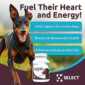 K9 Select CoQ10 Supplement for Dogs, 30mg - 60 Soft Gels per Bottle - Pet Supplement, CoQ10 for Dogs, Nutritional Softgels for Canine Heart Health, CoQ10 for Cardiovascular & Gum Health, Energy