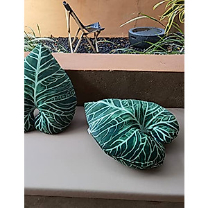 HOFFENDER Leaf Pillows Plant Pillows for Bedroom, Living Room and Patio Green Throw Pillows (Anthurium Regale)