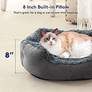 FURTIME Small Dog Beds for Small Dogs, Washable Dog Bed Orthopedic Rectangle Puppy Pet Bed, Durable Calming Dog Sofa Bed Soft Sleeping with Anti-Slip Bottom S (20"x19"x6")