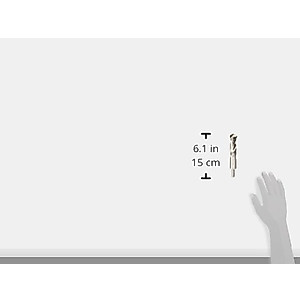 Irwin Tools 5026023 Slow Spiral Flute Rotary Drill Bit for Masonry, 1" x 6"