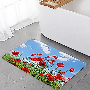 Door Mat Red Flowers Memory Foam Cushioned Kitchen Rug, 16x24 Inch Water Absorbent Soft Touch Standing Mat for Bathroom, Office, Sink, Laundry, Home Green Leaves Blue Sky Landscape Texture