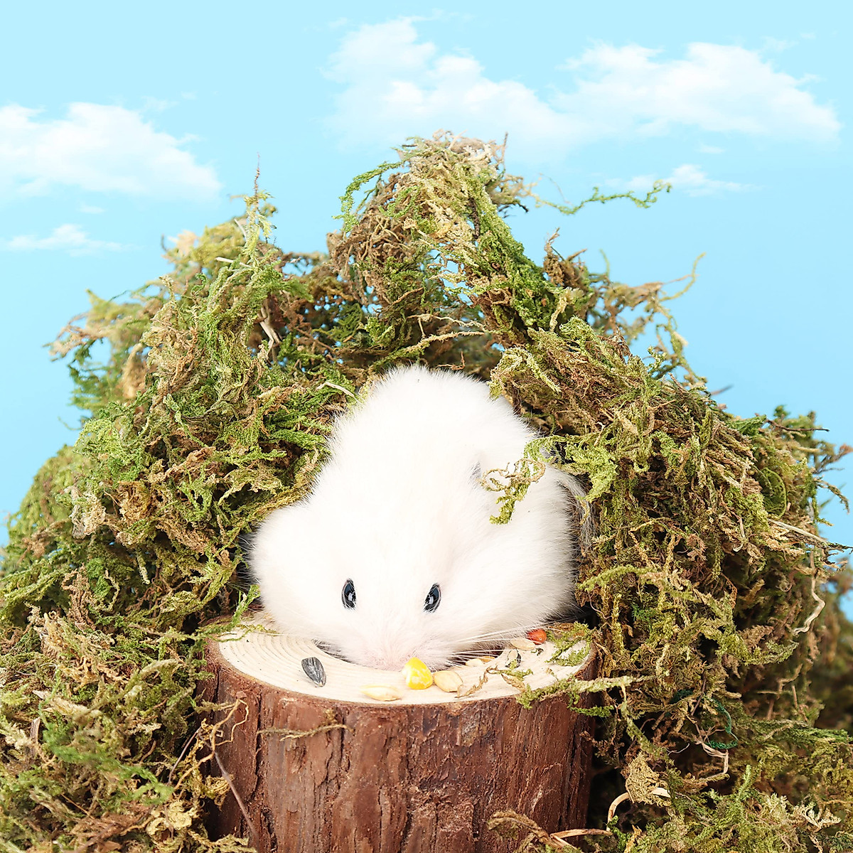 LUVCOSY Hamster Decoration Package = Forest Moss + Coconut Fiber + 3 Packs Wooden Fence, Cage Bedding Accessories, Habitat Decor Toys, Odor Control for Chinchilla, Guinea Pig, Reptile & Small Animals