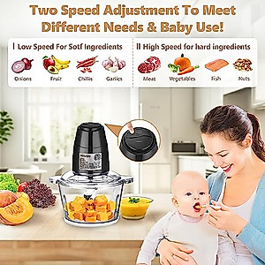 AOSION Electric Food Processor,8 Cup food Chopper,Vegetable Chopper & Meat grinder 350W with 2L Glass Bowl Grinder with 2 Speed for Baby Food/Meat/Fruits/Nuts.