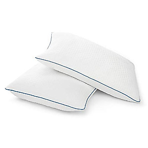 Sleep Innovations Shiloh Medium Memory Foam Mattress, 14 Inches, Queen & Premium Shredded Gel Memory Foam Pillows, Queen (Pack of 2)