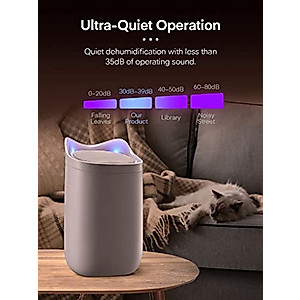 ZZWW Small Dehumidifier, Quiet Mini Dehumidifier 220 Sq.Ft (20oz Water Tank), Portable Dehumidifier for Bedroom, Bathroom, Closet White