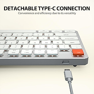 Low Profile Mechanical Keyboard for Mac, 87 Keys Brown Switch White Backlit Apple Keyboard Type-C Wired, Ultra-Slim Quiet Gaming Computer Keyboard for MacBook Pro/Air, iMac, Mac Mini