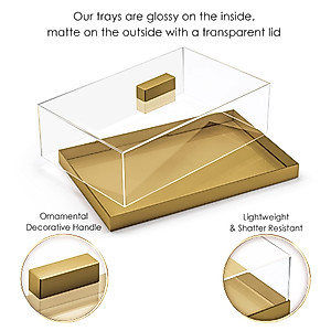Elavain Acrylic Cake Stand | Multifunctional Serving Tray | Elegant Gold Food Tray with Clear Lid | Perfect as a Cake Box and Serving Platter for Party, Home and Kitchen | Shatter Resistant