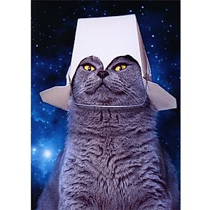 Avanti, Take Out Space Cat
