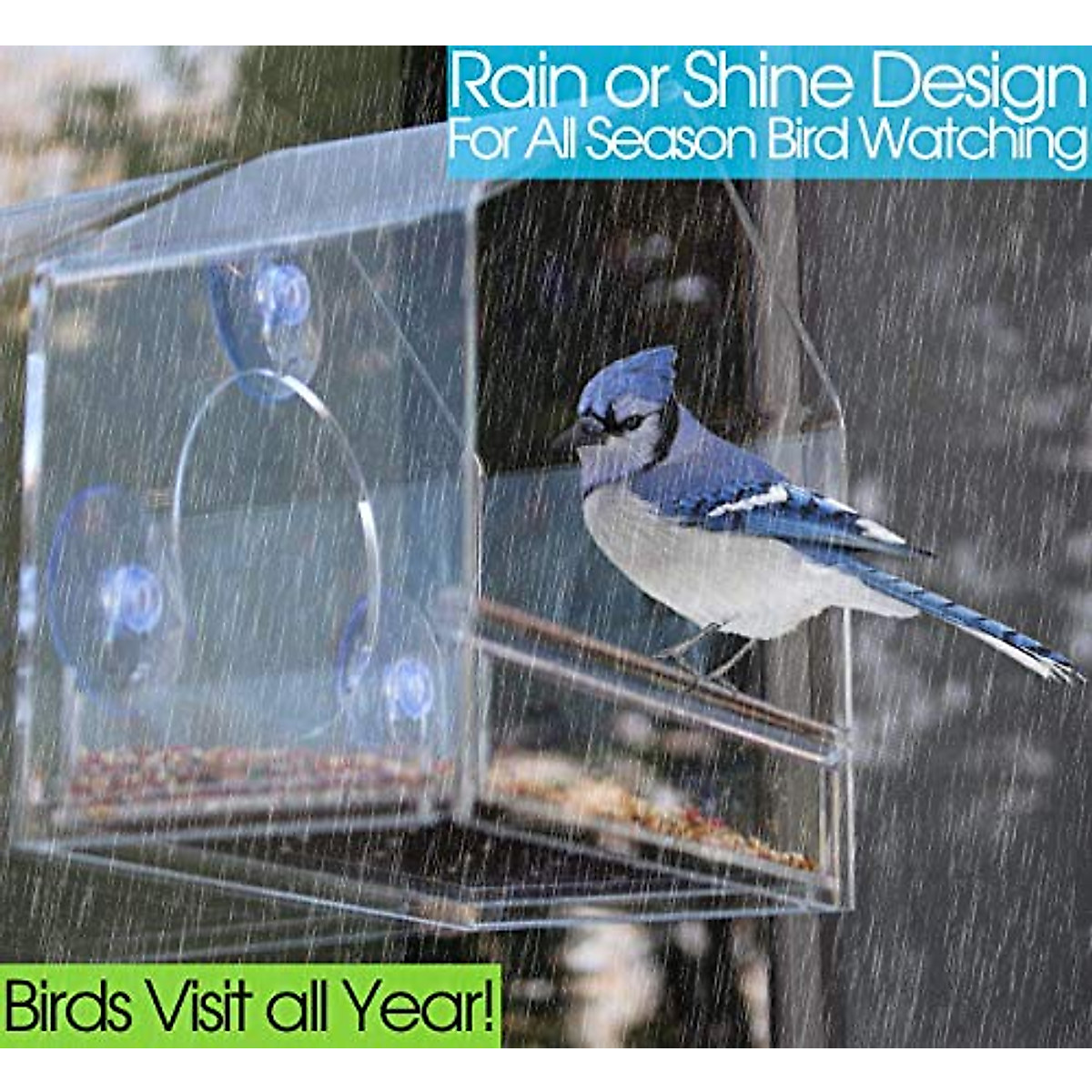 Nature Gear Window Bird Feeder - Refillable Sliding Tray - Weather Proof - Snow and Squirrel Resistant - Drains Rain Water - See Songbirds from Home! (House Style) (House Model)