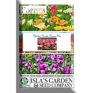 Shirley Single Mix Poppy Flower Seeds for Planting, 3000+ Flower Seeds Per Packet, (Isla's Garden Seeds), Non GMO & Heirloom Seeds, Scientific Name: Papaver rhoeas, Great Home Garden Gift