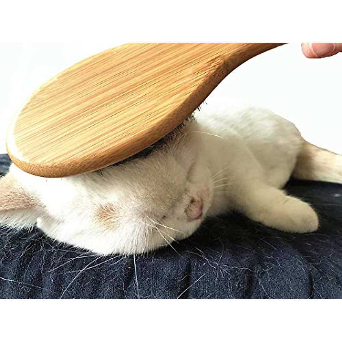 Patina Dog Cat Brush for Shedding, Natural Bamboo Boar Bristles Brush, Pet Grooming Supplies for Short and Long Haired Dogs Cats, Gentle Easy Grooming Massage, Japanese design