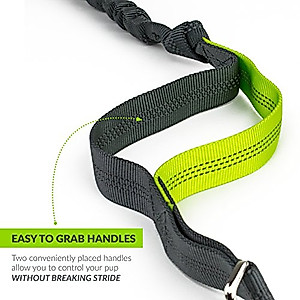 Tuff Mutt Hands Free Dog Leash, A Dog Running Leash for Dogs That Makes A Great Waist Leash for Dog Walking, Double Handle Bungee Dog Leash with Reflective Stitching and Adjustable Dog Walking Belt