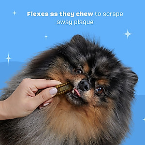 Bark Bright Durable Dental Chew Sticks for Dogs (15 Chews) Made for Tough Chewers - Small Breeds