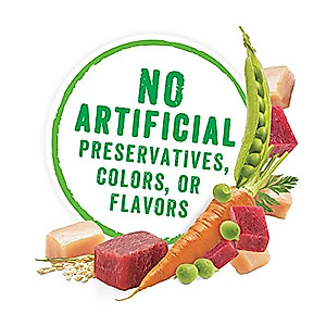 Purina Beneful High Protein, Gravy Wet Dog Food Variety Pack, Prepared Meals Stew - (12) 10 oz. Tubs