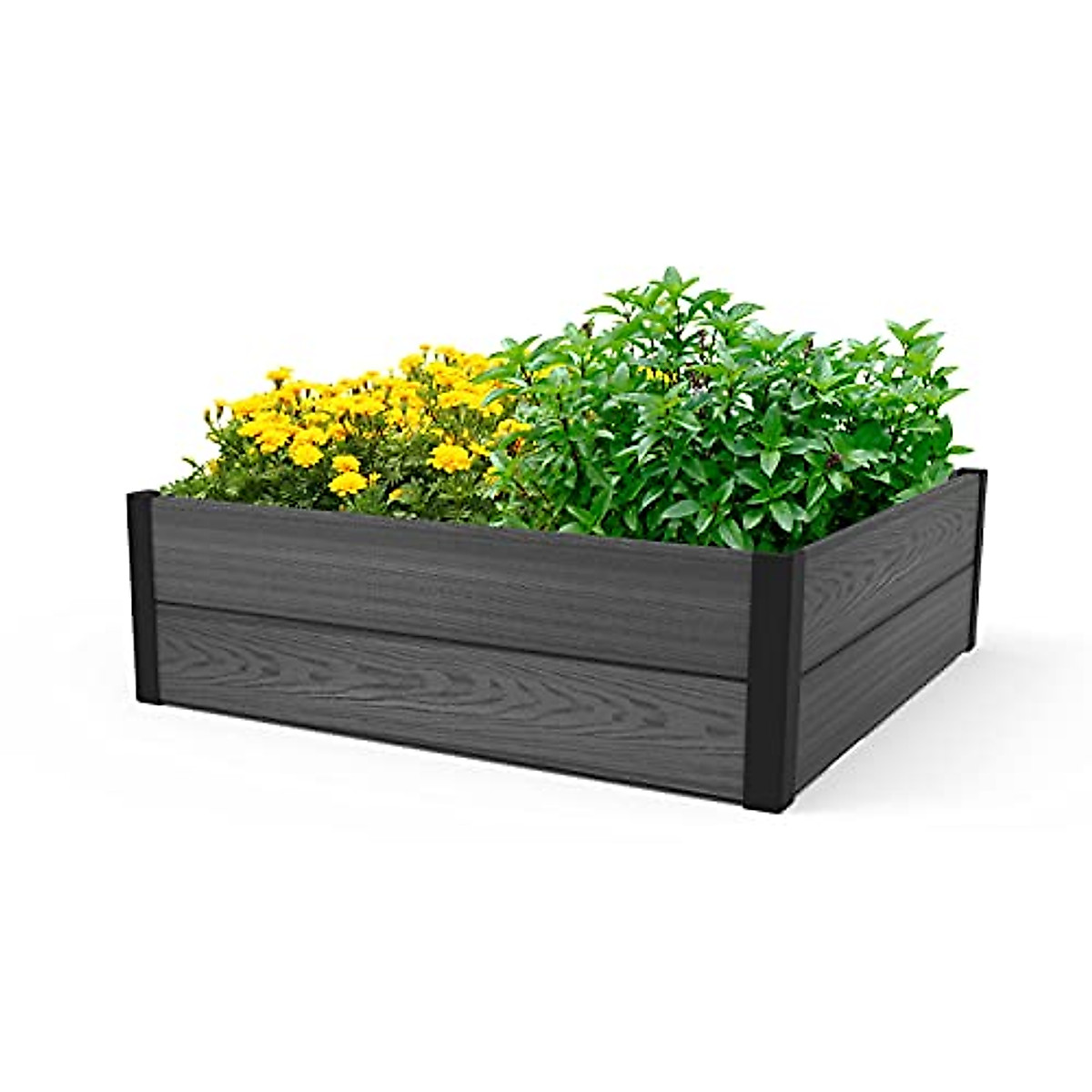 Keter Maple Raised Garden Bed, Durable Outdoor Planter for Vegetables, Flowers, Herbs, and Succulents, Grey