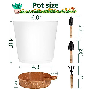 Ocakuiter Plant Pots, 5 Pack 6 Inch Self Watering Planters , Plastic Flower Pots with Drainage Hole, Succulents,Snake Plant, African Violet, and Cactus for Indoor Windowsill Garden Flower Plants