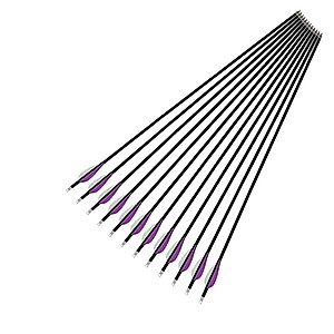 IRQ 31 Inch Carbon Arrow Quiver Set Spine 400 for Compound Recurve Long Bows Target Practice and Hunting Arrows, 12 Pack Carbon Fiber Arrow Plus 1 Quiver
