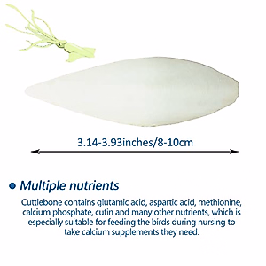 BNOSDM 8 Pack Cuttlefish Bones Natural Polished Cuttlebone for Cockatiels Birds Reptiles Turtles and Snails Cuttlefish Bone Chew Toy Bird Bites Calcium Stone 3.14-3.93 Inches