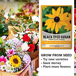 Black Eyed Susan Seeds for Planting - Rudbeckia Hirta Flower Seeds for Cut Flower Gardens Beautiful Yellow and Black Flowers to Grow in Your Garden by Gardeners Basics