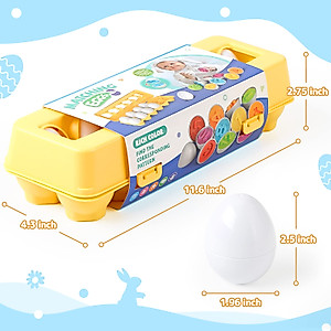 ZenBombs 12 Matching Eggs Learning Toys, Gifts for Toddlers, 3+ Year Old Baby Montessori Toys, Color Shape Recognition Skills, Preschool Educational Toy for Kids, Number