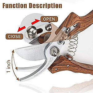 Pruning Shears Garden Clippers Plant Trimming Scissors Branch Bypass Bonsai Hand Pruners Rose Flower Hedge Tree Plant Cutter Small Pofessional Snips Stainless Steel Gardening Tools