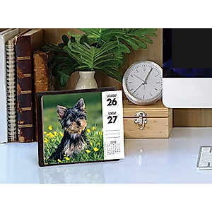 Just Yorkies 2021 Box Calendar (Dog Breed Calendar)