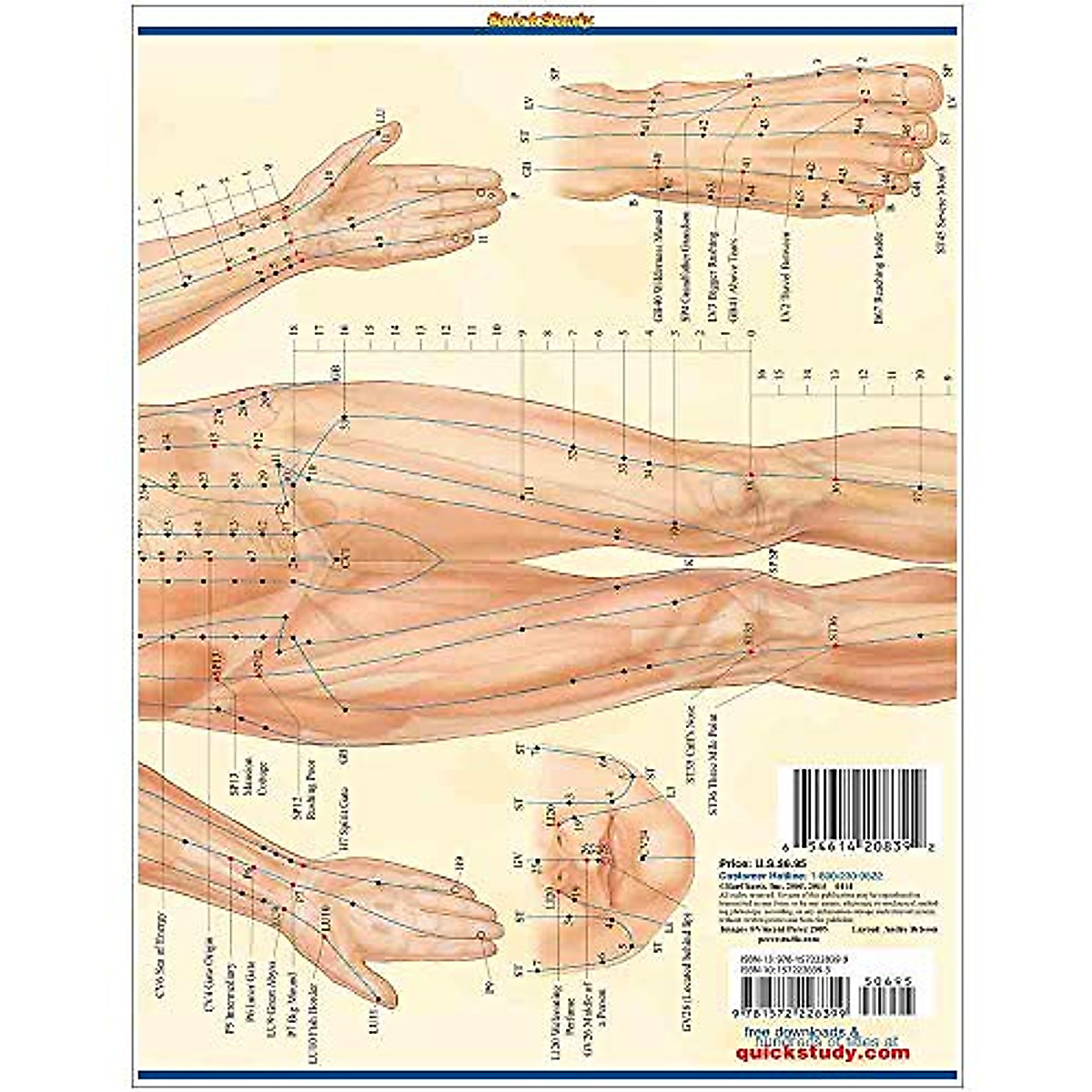 Acupressure Laminated Reference Guide (QuickStudy Academic)