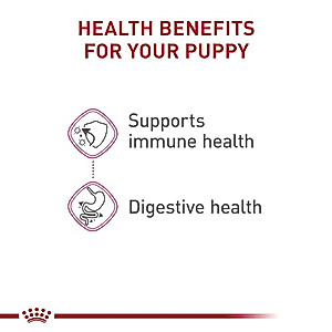 Royal Canin Canine Health Nutrition Puppy Canned Dog Food, 13.5 oz can (6-pack)