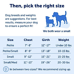 PetSafe Easy Walk Dog Harness - No Pull Dog Harness - Small, Apple Green